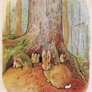 Beatrix Potter , Peter RABBIT - Cross Stitch Chart Available in DMC or ...