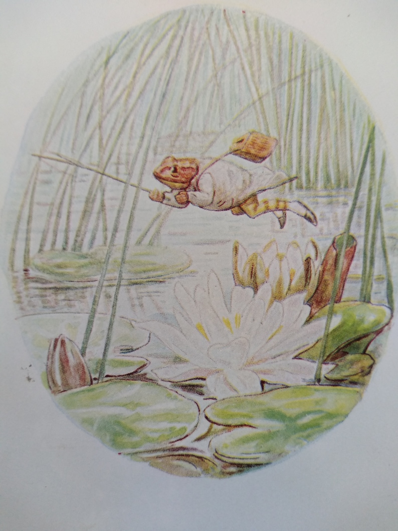 The Tale of Mr Jeremy Fisher Original Vintage Print From 1950's- by ...