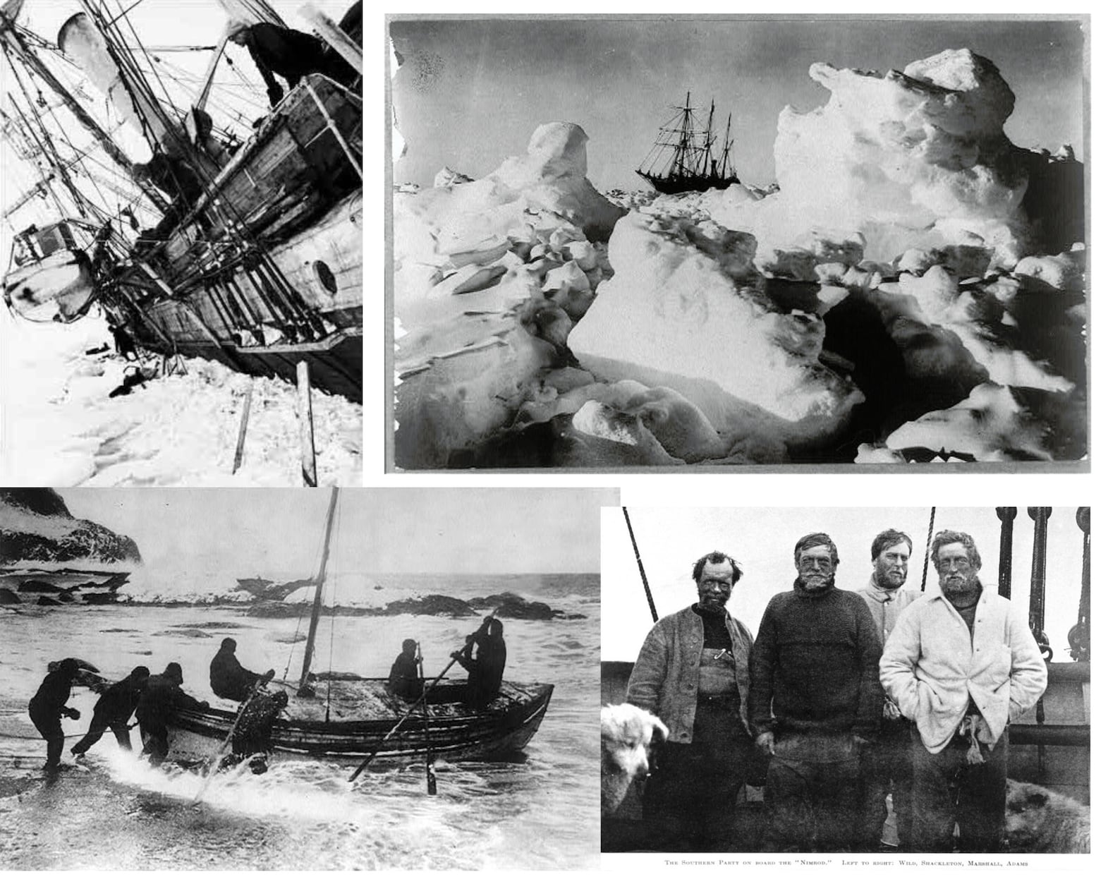 Sir Ernest Shackleton and His Ship THE ENDURANCE Choose From 8 - Etsy