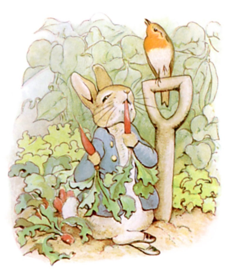 Beatrix Potter Peter RABBIT cross stitch chart available | Etsy