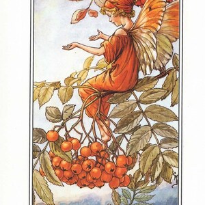 Cicely Mary Barker's Flower Fairies of the Autumn Original Vintage ...