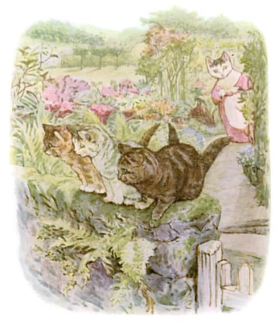 Beatrix Potter Kitten