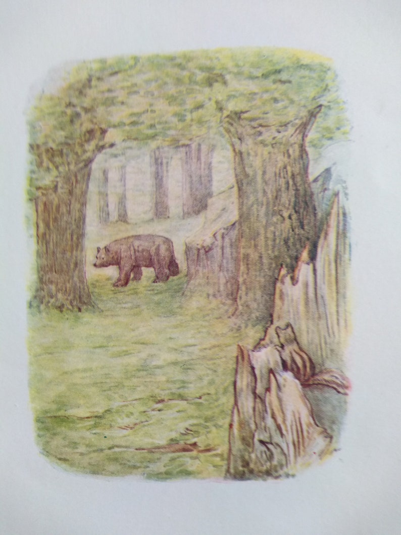 The Tale of Timmy Tiptoes Original Vintage Print From - Etsy