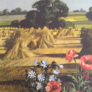 British Wild Flowers Original Vintage Print From 1957 Choose From 10 ...