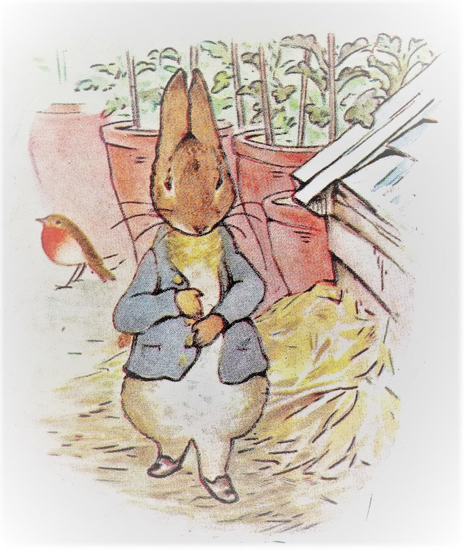 The TALE of PETER RABBIT Original Vintage Print 1910 in Cream - Etsy
