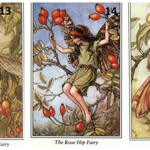 Cicely Mary Barker's Flower Fairies of the Autumn Original Vintage ...