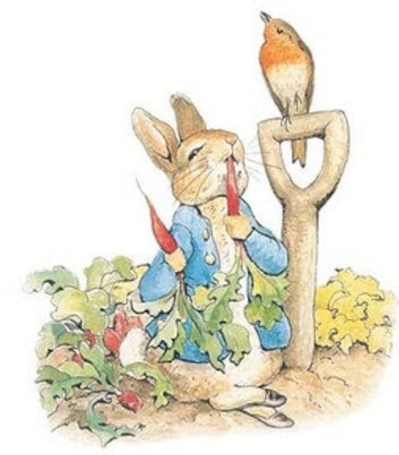 The TALE of PETER RABBIT Original Vintage Print 1910 in Cream - Etsy