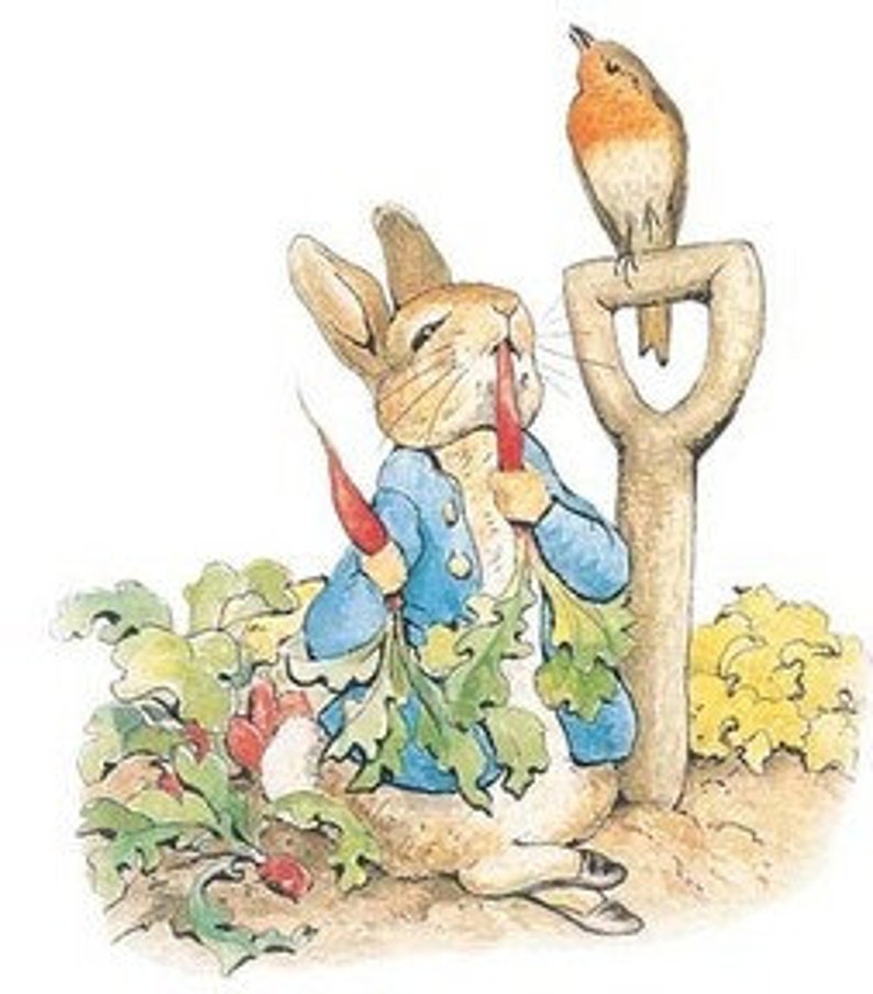 The TALE of PETER RABBIT Original Vintage Print 1910 in Cream - Etsy