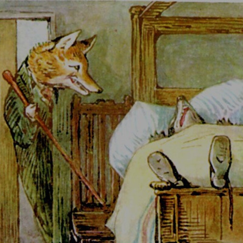 Tale of Mr Tod - Etsy