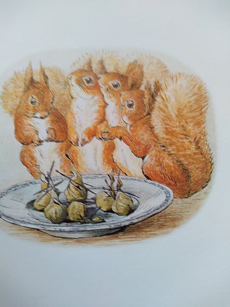 SQUIRREL NUTKIN Original Vintage Print From 1970's- by Beatrix Potter ...