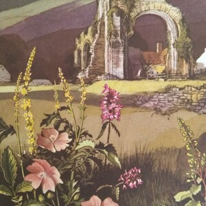 British Wild Flowers Original Vintage Book Print From 1957 Choose From ...
