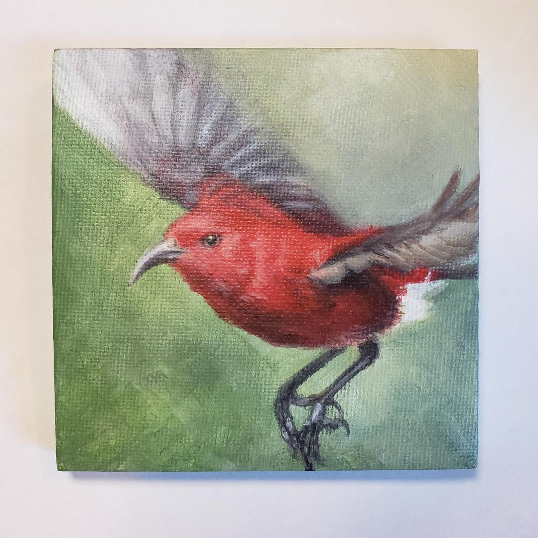 Mini Apapane in Flight Bird Painting Native Hawaiian Endemic Hawaii ...