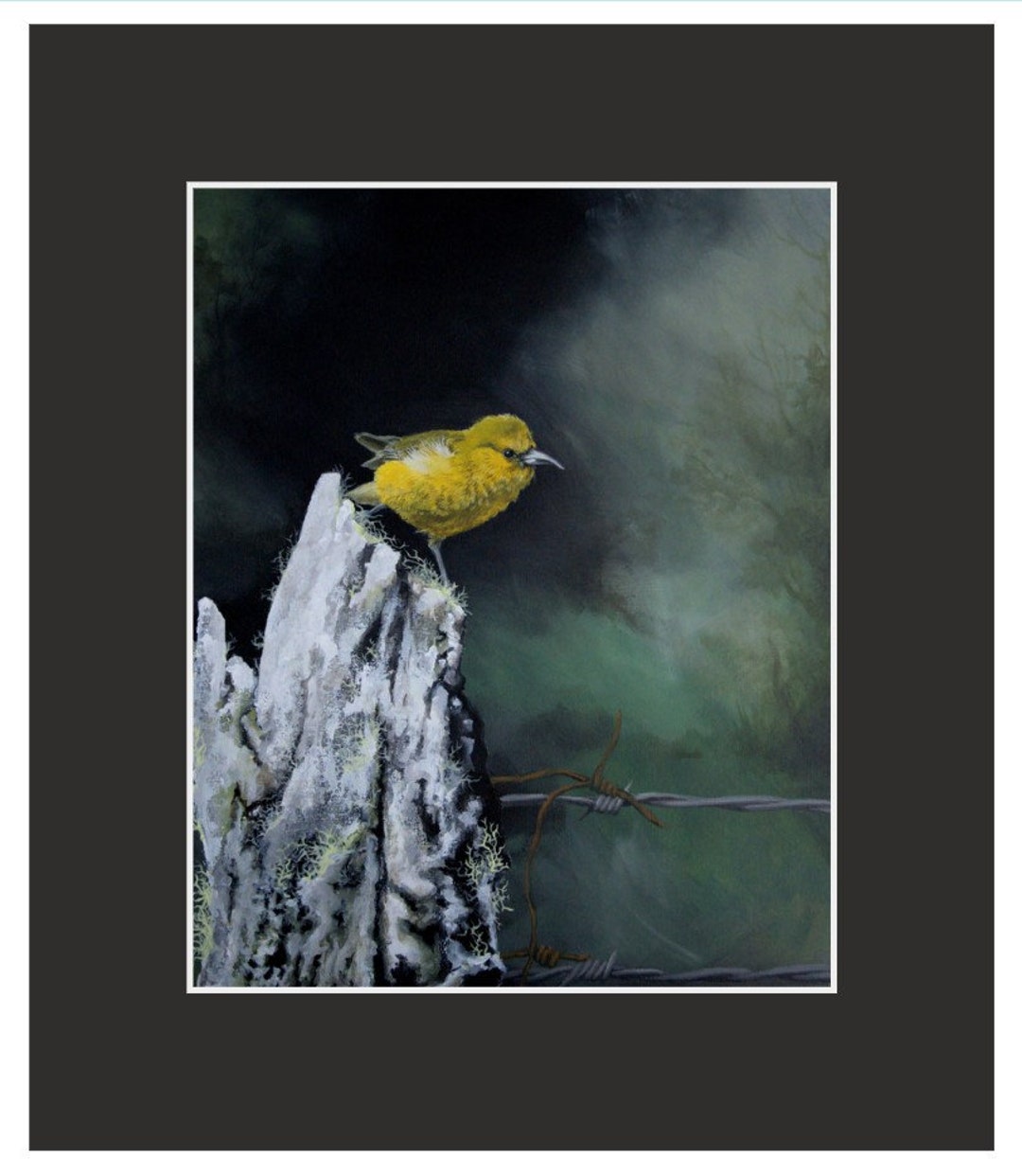 Sentinel – Volcano, Hawaii 2023 Paper Gliclée Print 8″ X 10″ With 12″ X ...