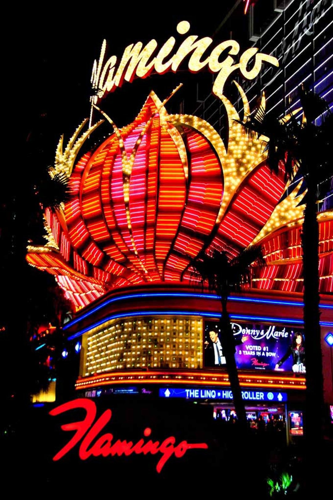 Flamingo Las Vegas Hotel Neon Signs United States of America Photograph ...
