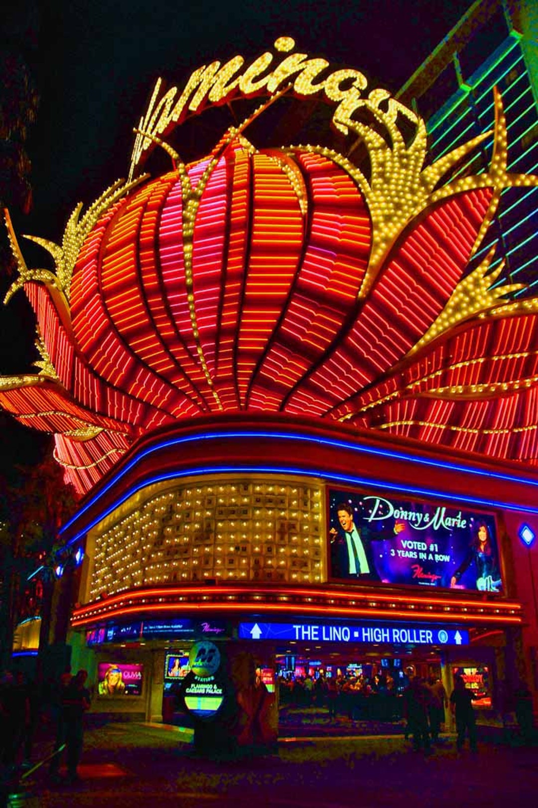 Flamingo Hotel Neon Signs Las Vegas United States of America Photograph ...