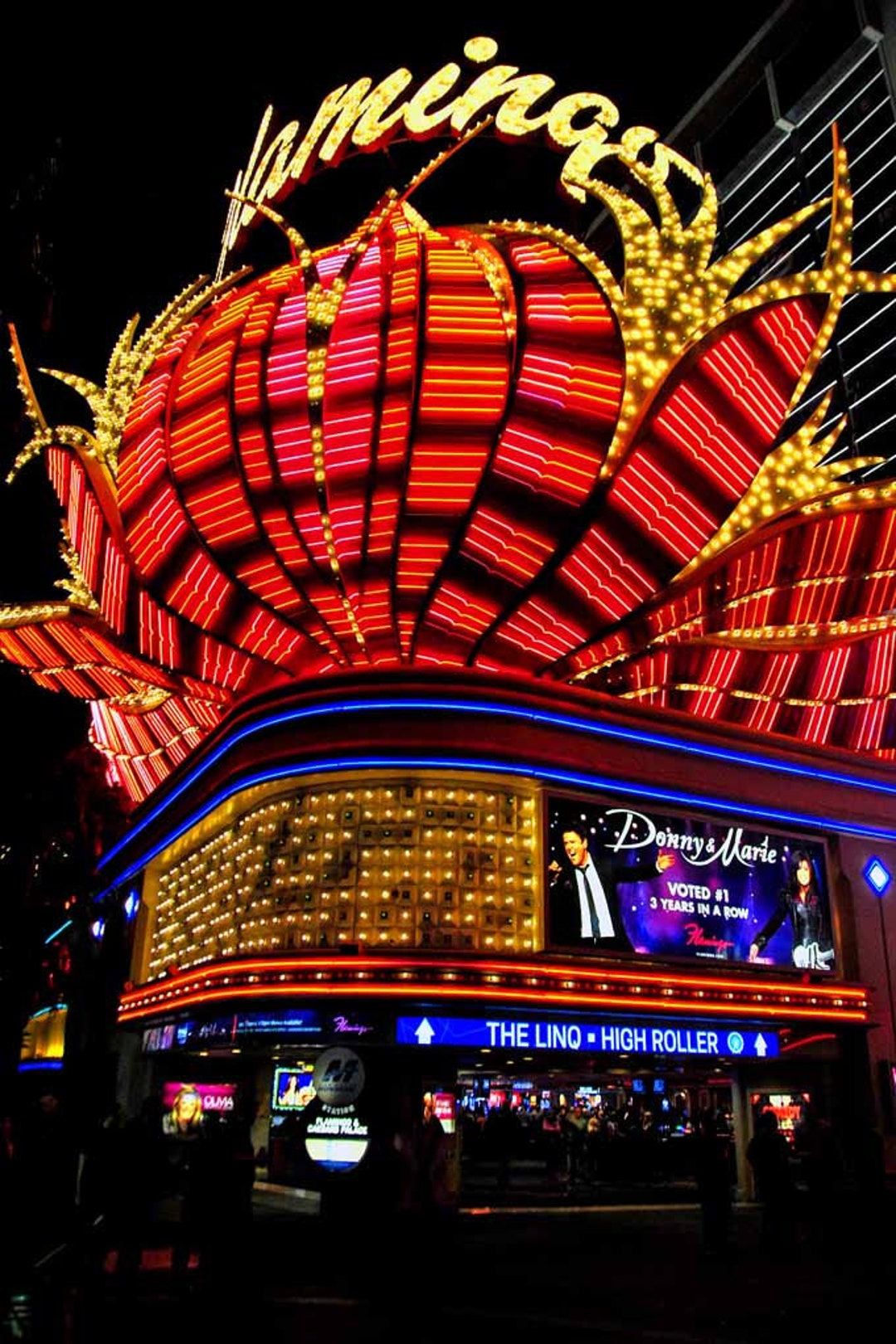 Flamingo Hotel Neon Signs Las Vegas United States of America Photograph ...