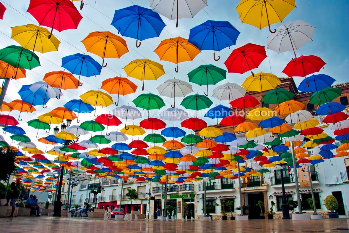 Colourful umbrellas for sale store