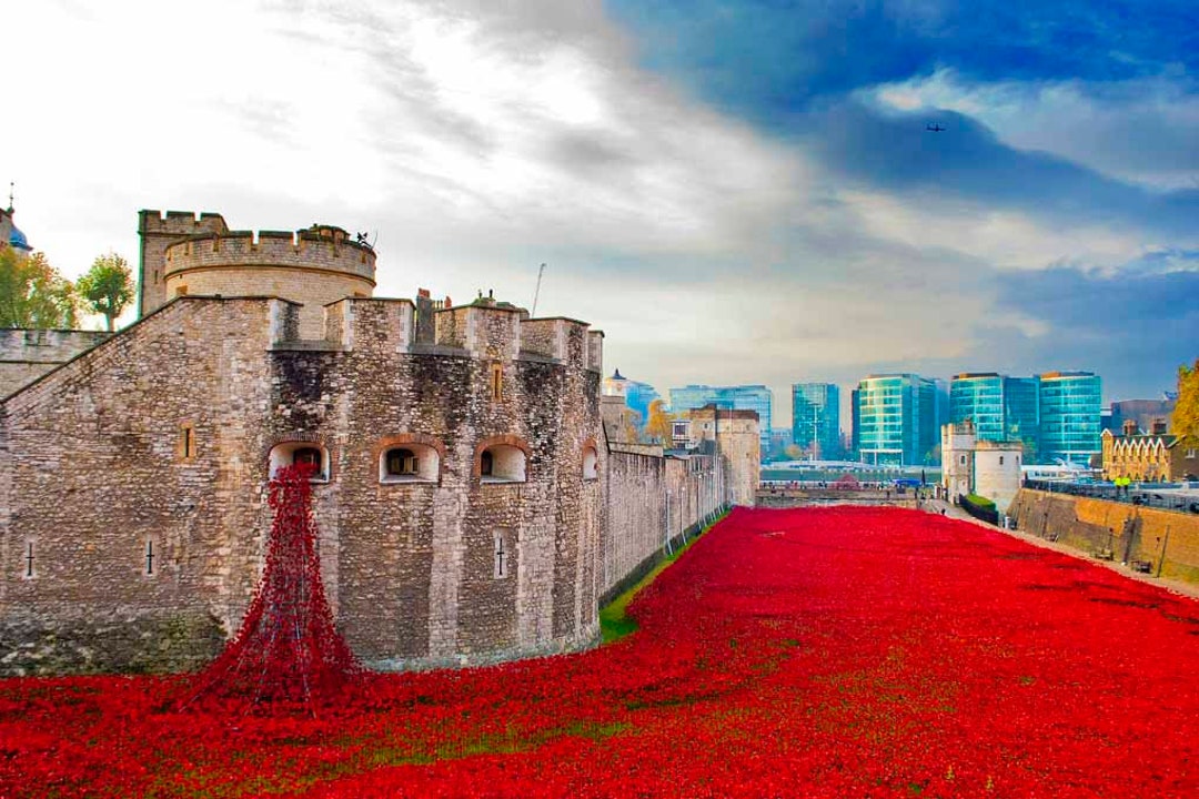 Tower of London Red Poppy Poppies England Photograph Picture Print - Etsy