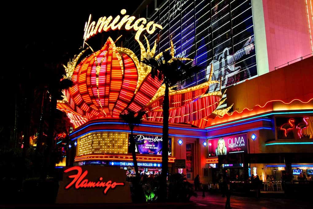 Flamingo Hotel Neon Signs at Night Las Vegas Nevada United States of ...