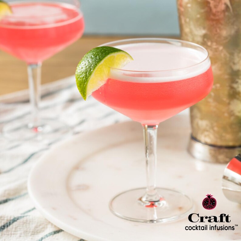 Cosmopolitan Cocktail Infusion Kit W/ Edible Glitter | DIY Fruity ...