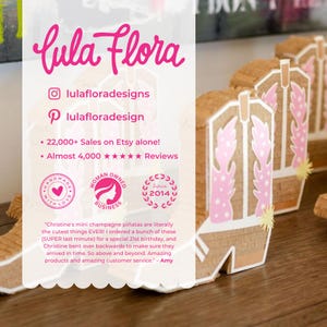 Cowboy Hat Mini Pinata 1 First Rodeo Girl Birthday Birthday Treat Boxes ...