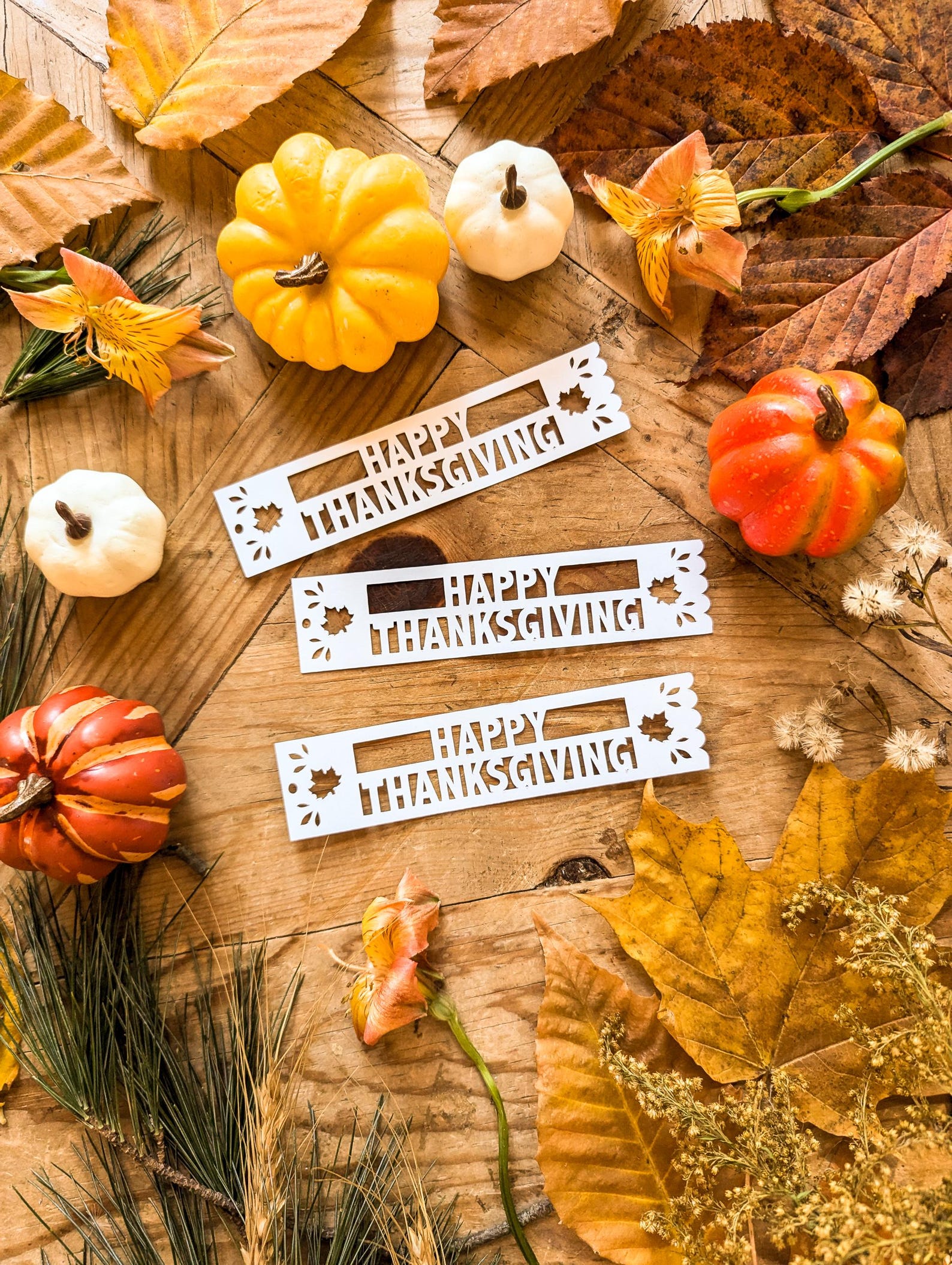 Thanksgiving Table Setting Tags | Stylish Thanksgiving Decorations ...