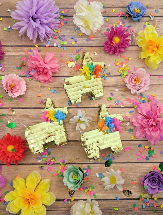 Cinco De Mayo Pinata Craft