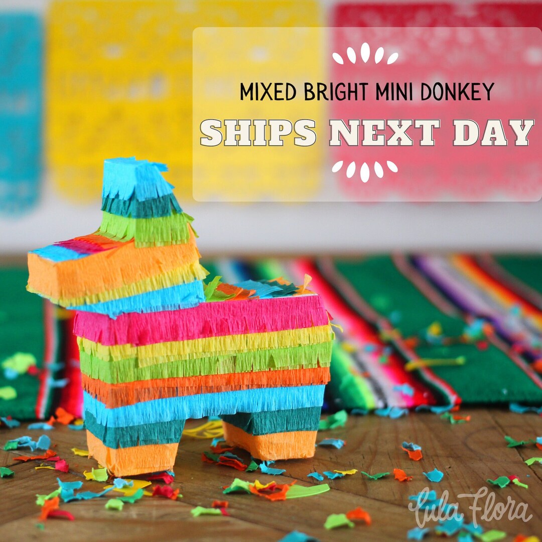 SHIPS NEXT DAY Mixed Bright Mini Donkey Pinata Party Favors Cinco De ...