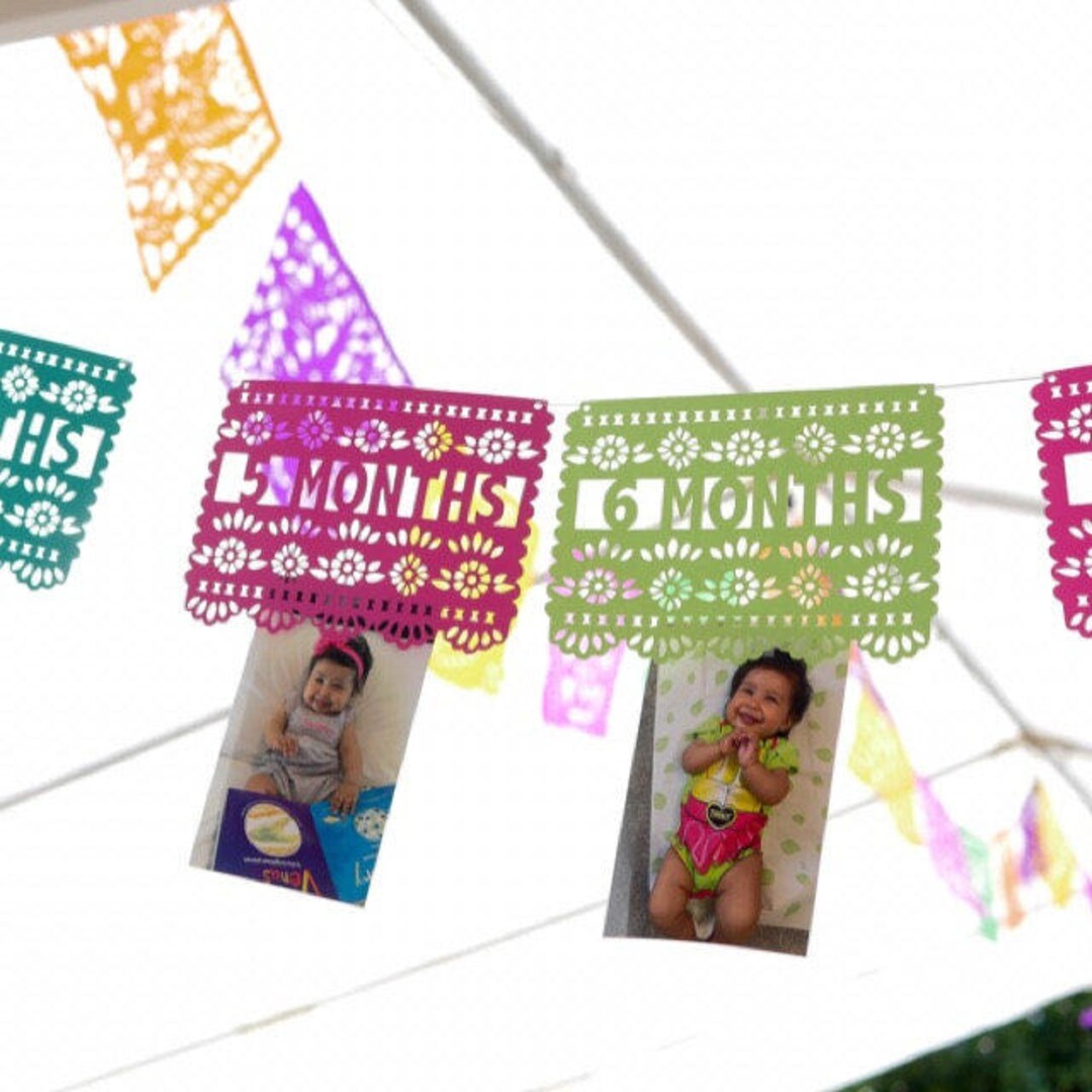 First Birthday Banner, 12 Months, Baby Month Photos, Pregnancy Banner ...