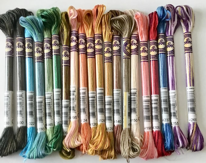 DMC Color Variation Floss Pack Set F - Etsy