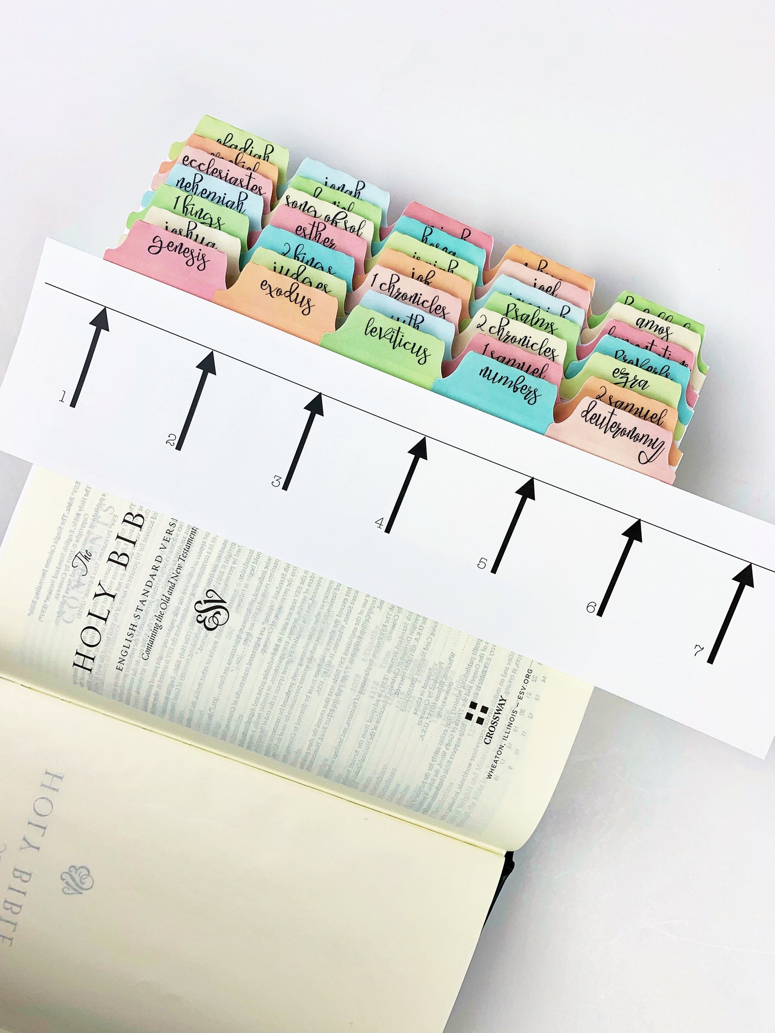 Printable Bible Tab Placement Guide Printable Bible Tab Placement Guide