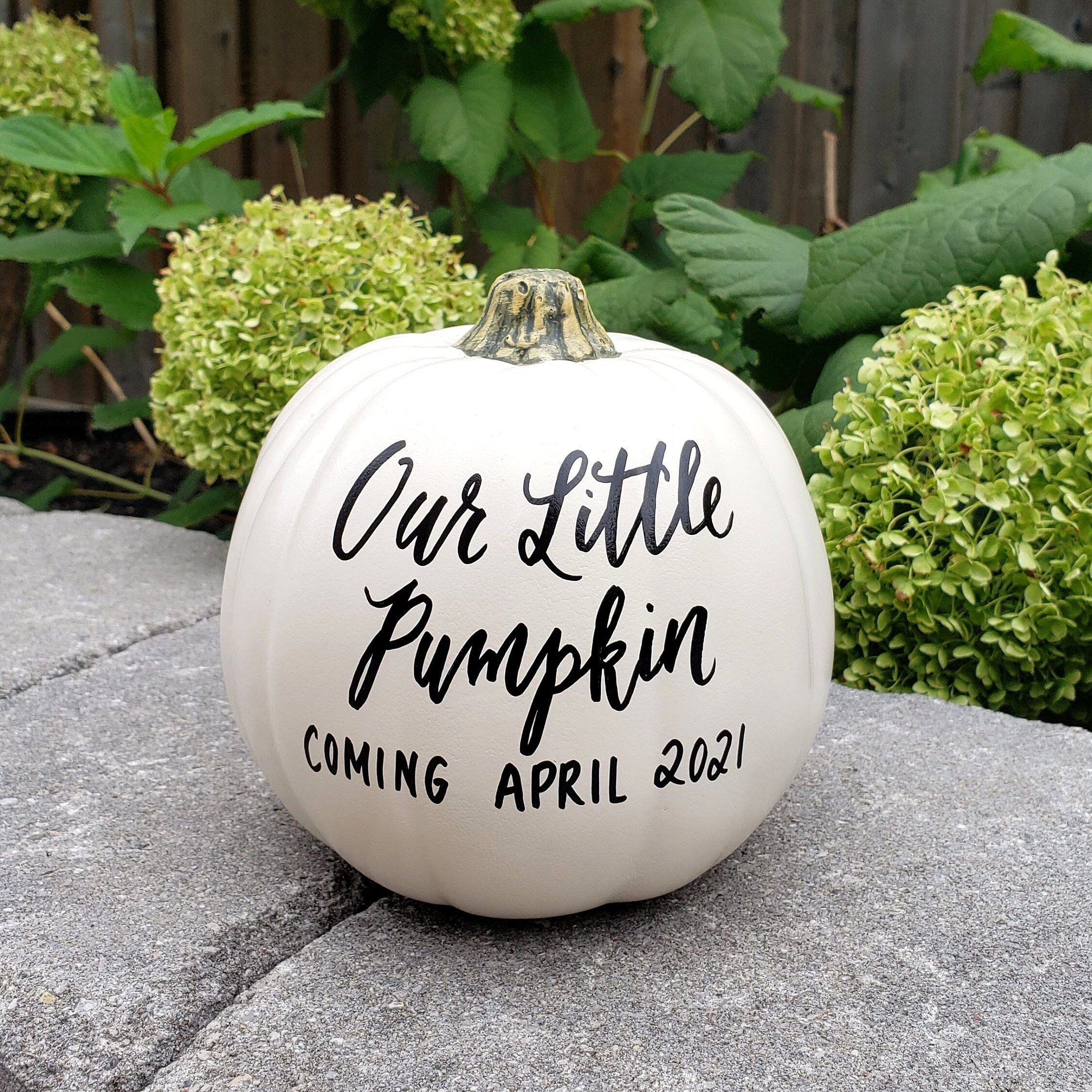Personalized Pumpkin Decor Custom Calligraphy Pumpkin White - Etsy Canada