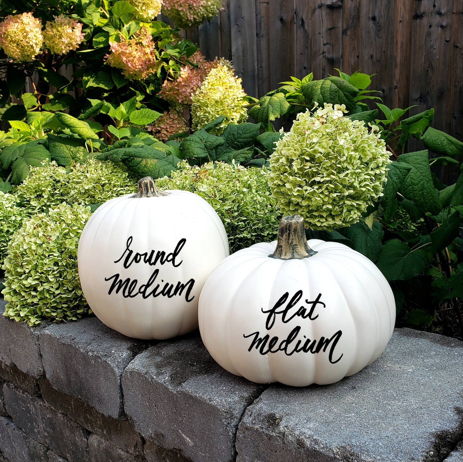 Personalized Pumpkin Decor Custom Calligraphy Pumpkin White - Etsy