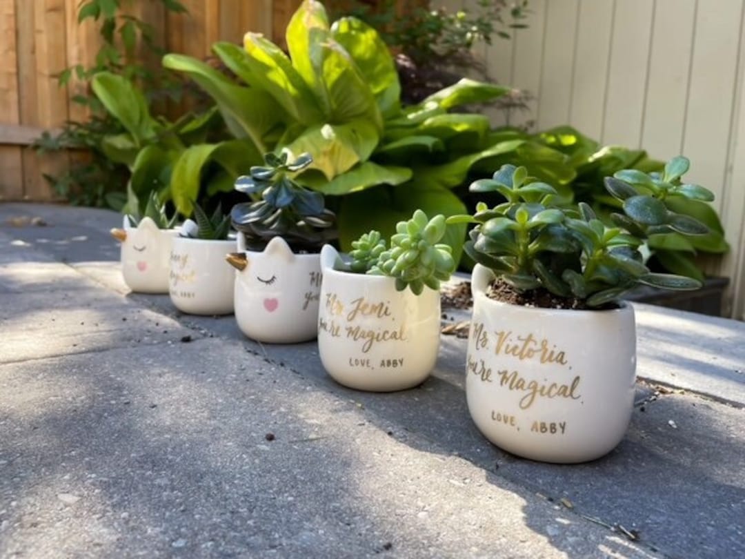 Unicorn Succulent Pot, Personalized Teacher Gift, Ceramic Unicorn ...