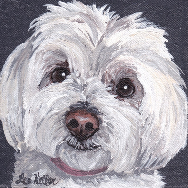 Maltese Dog Art Print From Original Painting Maltese Art on | Etsy
