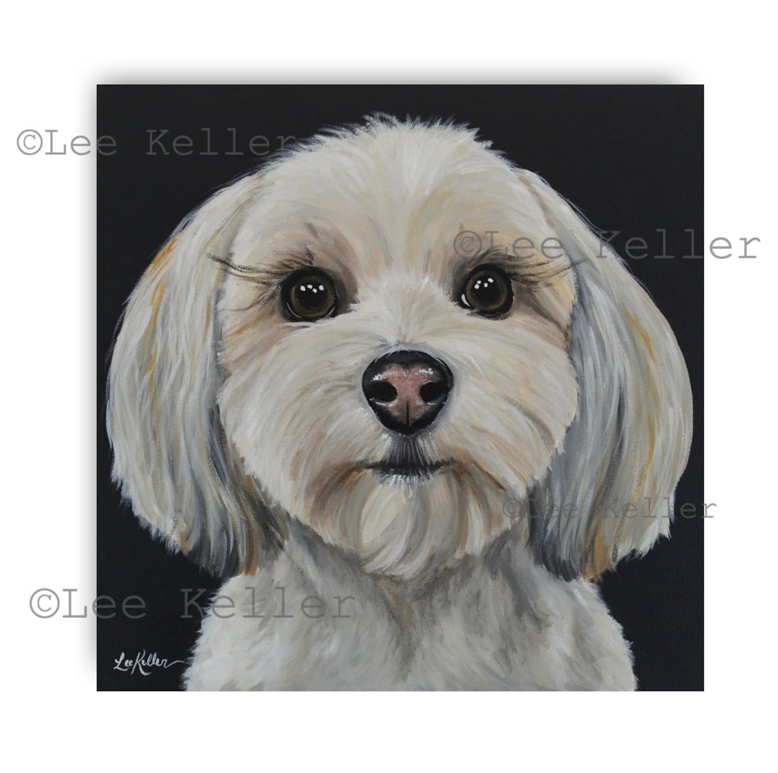 Havanese Art Print Havanese Dog Art Havanese Canvas or - Etsy