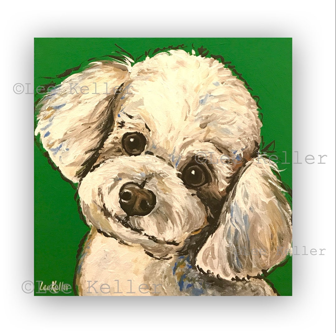 Maltipoo Art Print Poodle Art on Canvas or as a Paper Print - Etsy