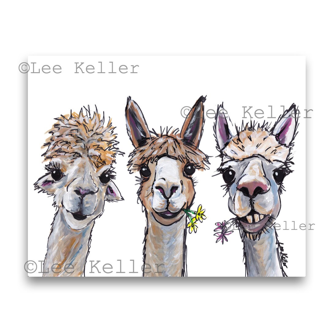 Alpaca Drawing Tumblr