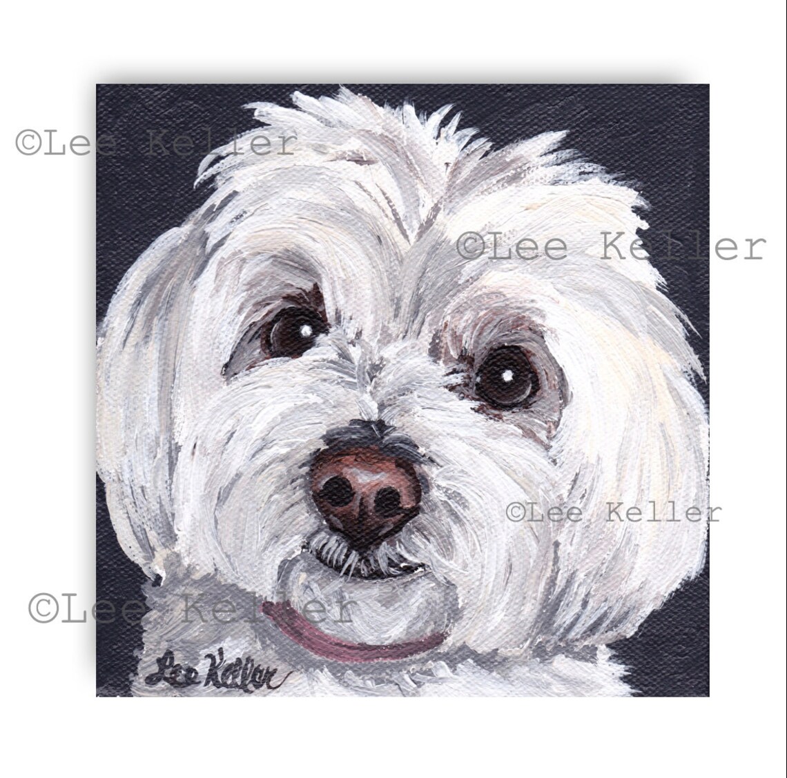 Maltese Dog Art Print From Original Painting Maltese Art on - Etsy