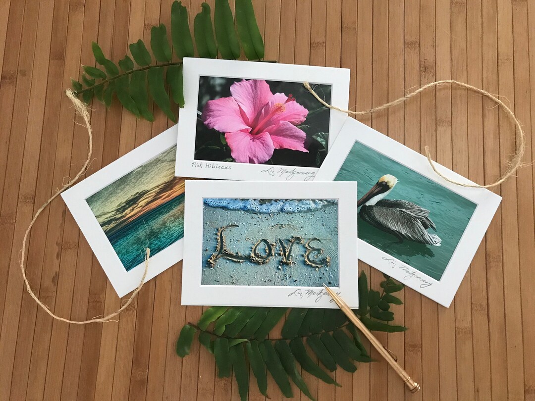 Note Cards Nature Set - Etsy