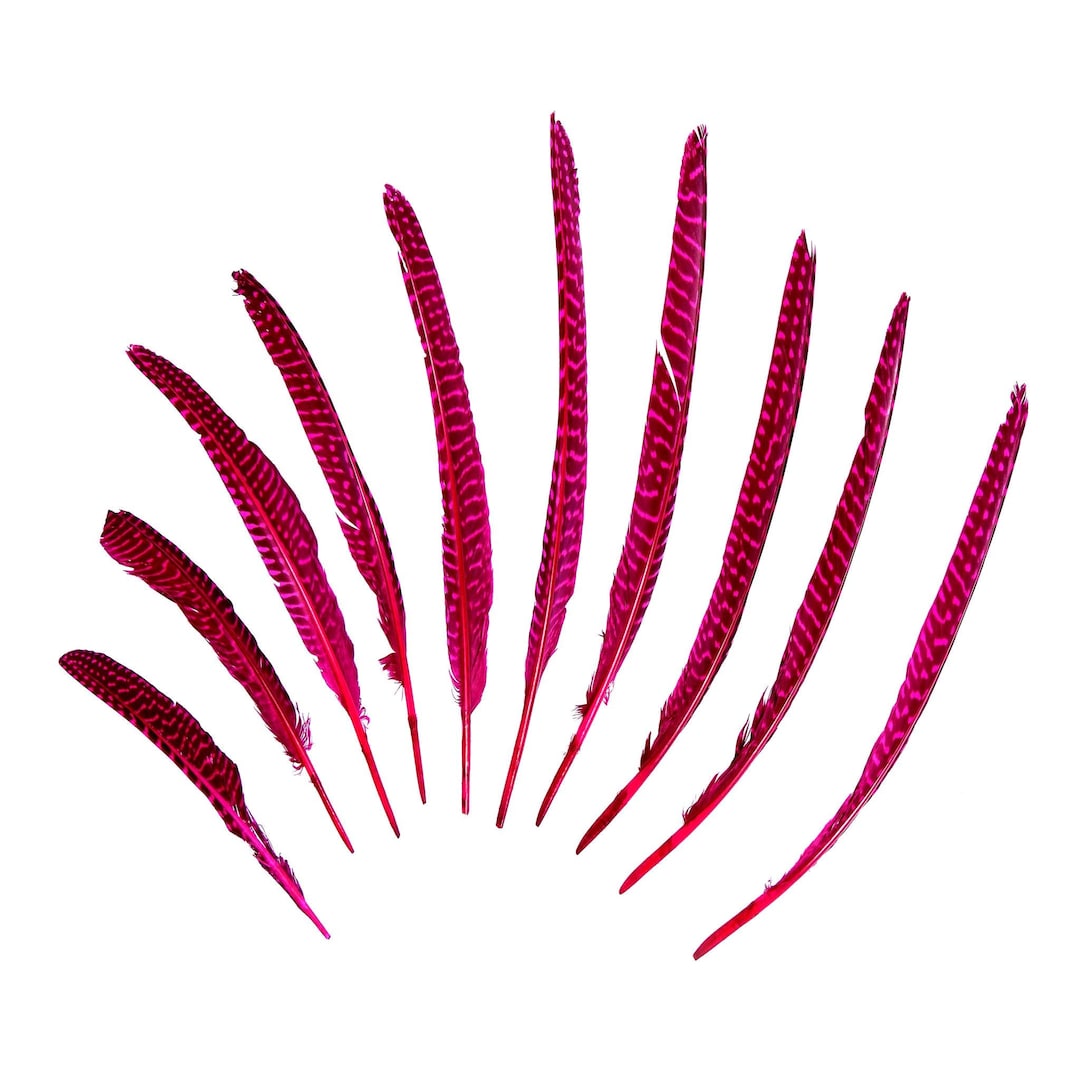 Guinea Fowl Pheasant Wing Feather X 10 FE002 - Etsy