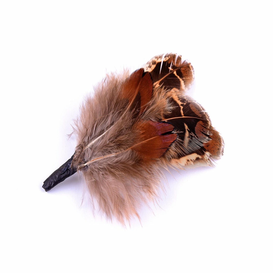 Natural Small Pheasant Feather Mount FM003 - Etsy