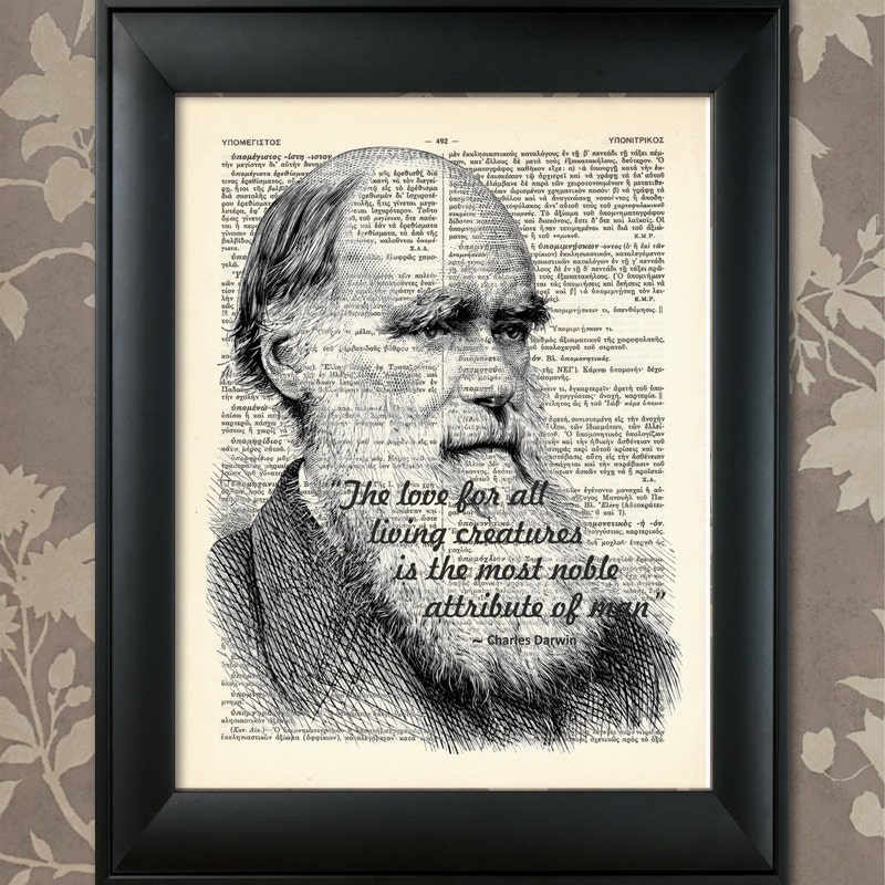 Charles Darwin - Etsy