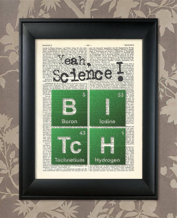 Yeah Science Bitch Science Print Science Poster Science | Etsy