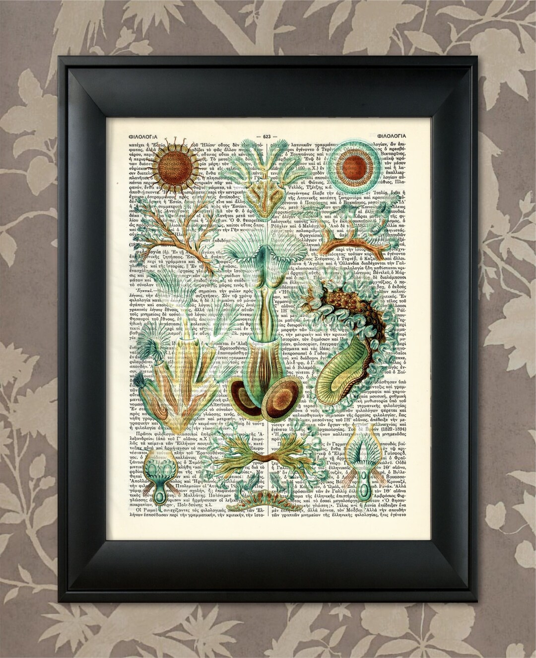 Sea Plankton Illustration 2, Vintage Sketch, Marine Biology, Marine ...