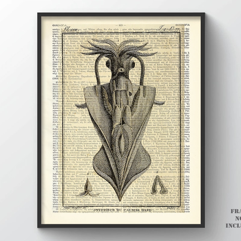 Squids Game Poster - Etsy