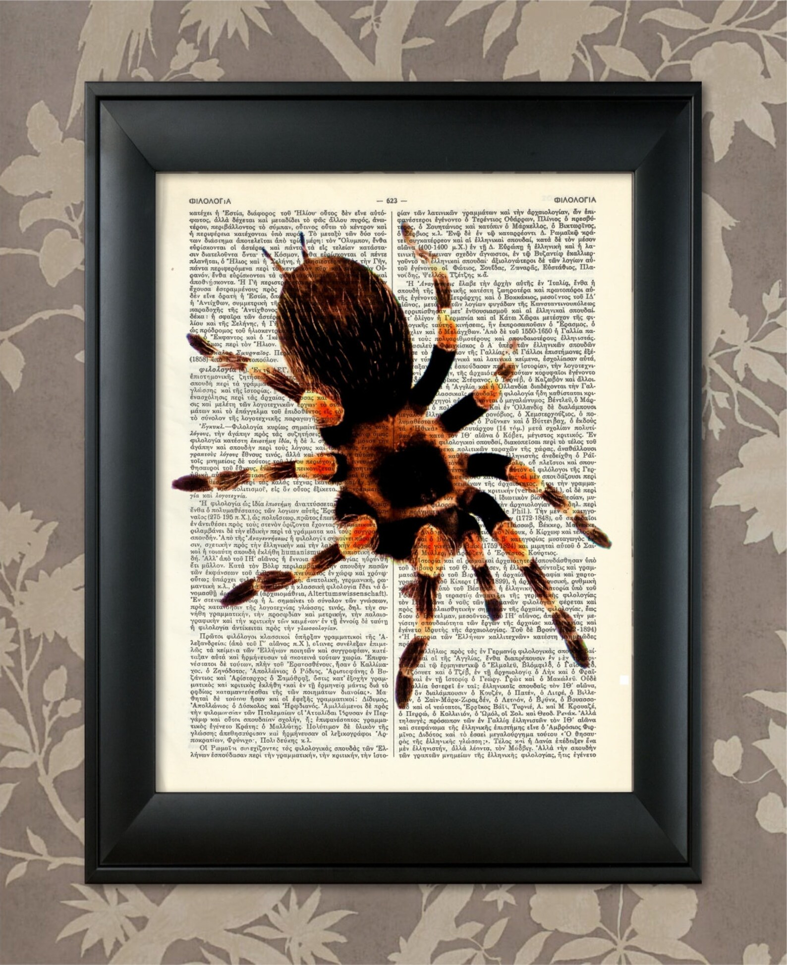 Tarantula Print Tarantula Art Spider Print Spider Art - Etsy
