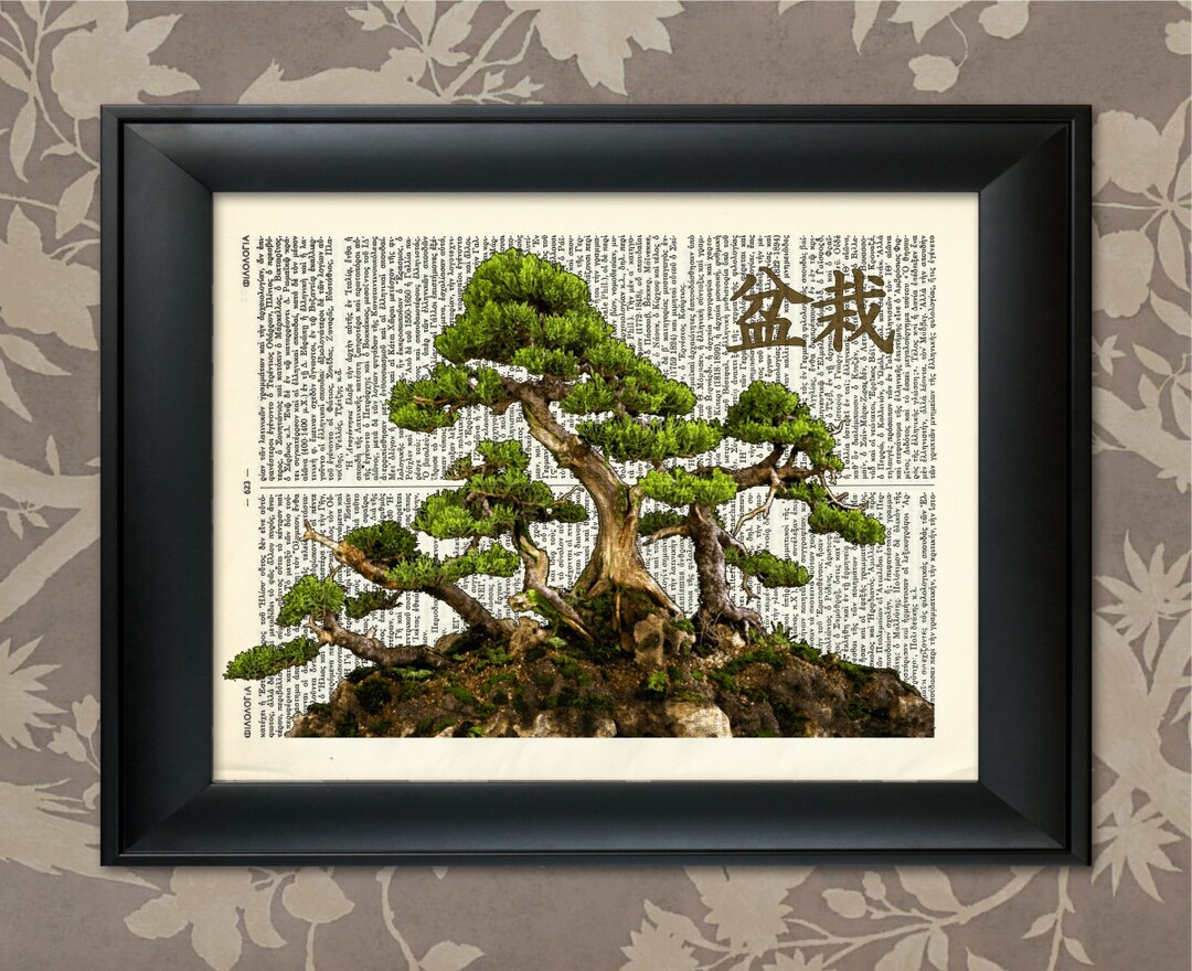 Bonsai Tree Print, 4, Bonsai Print, Bonsai Art, Bonsai Poster, Bonsai ...