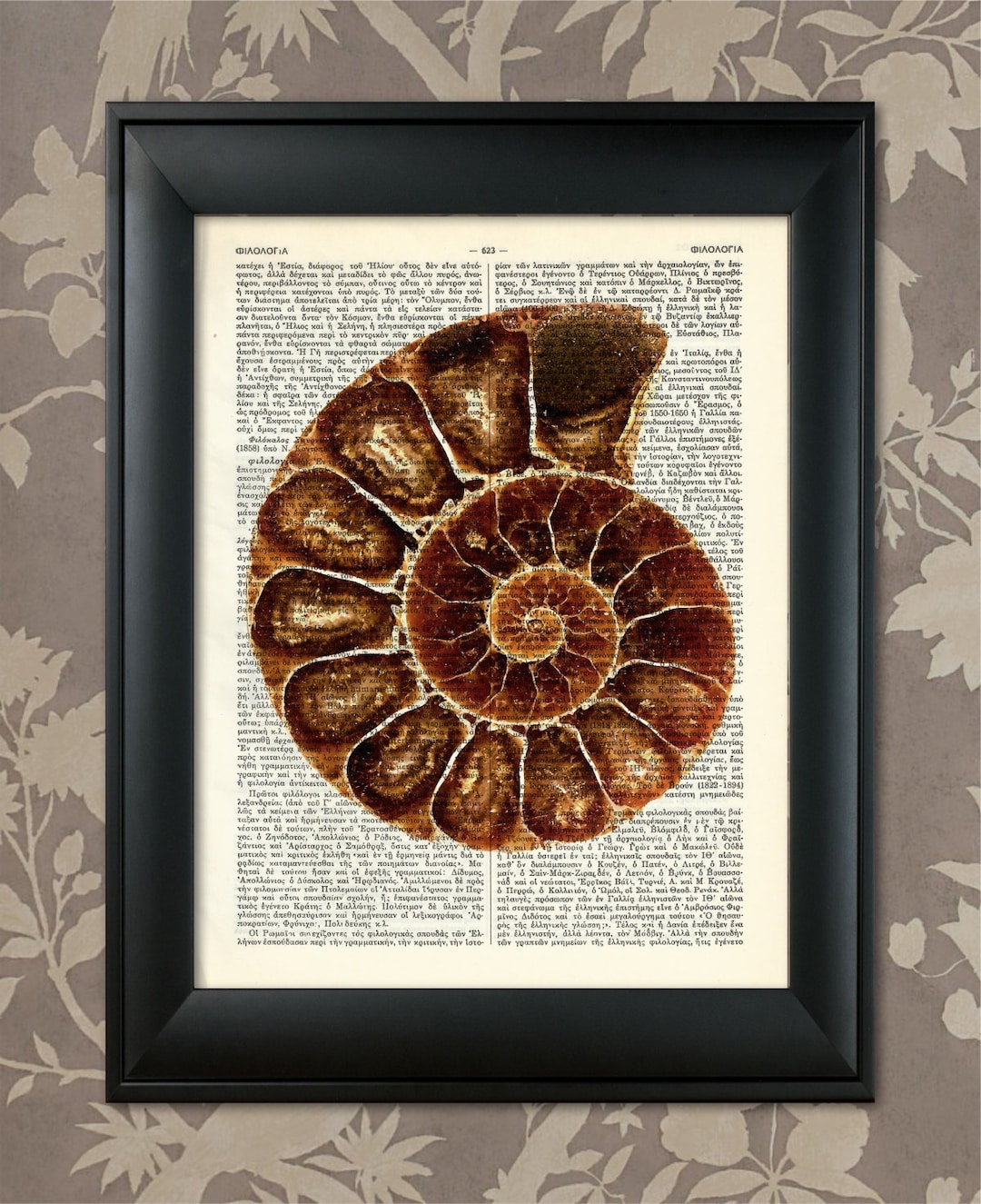 Nautilus Print, Nautilus Art, Nautilus Fossil Art, Nautilus Poster ...