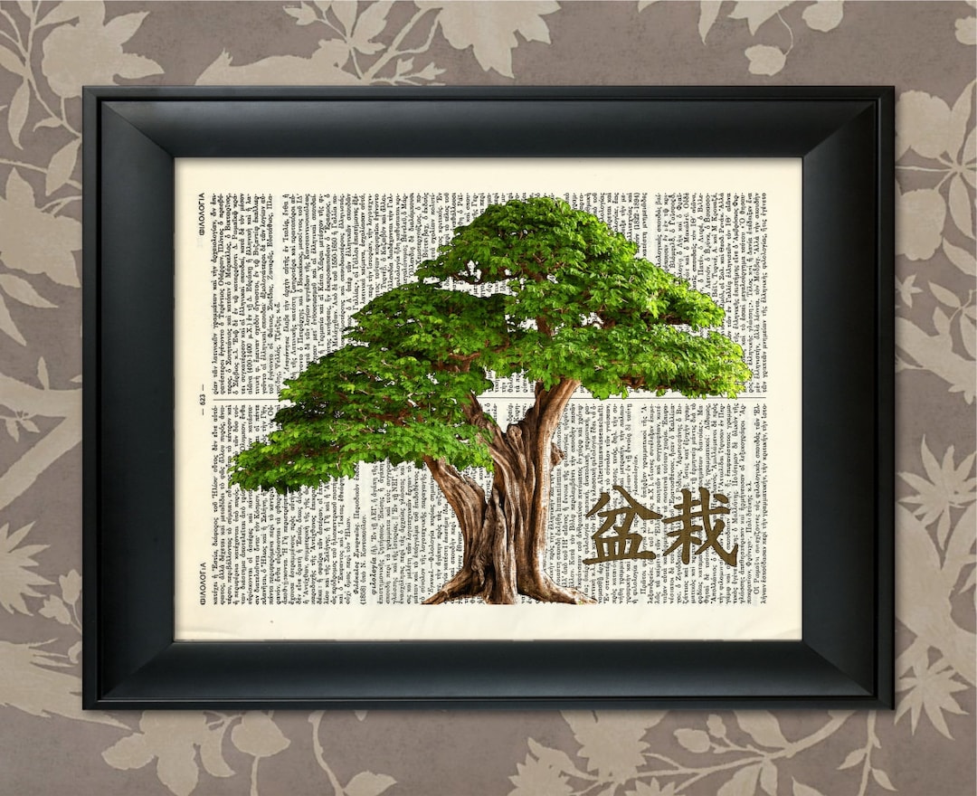 Bonsai Tree Print 6 Bonsai Print Bonsai Art Bonsai Poster - Etsy
